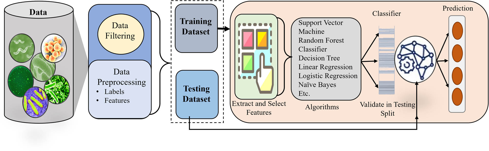 A deep dive into AI integration and advanced nanobiosensor technologies for enhanced bacterial ...