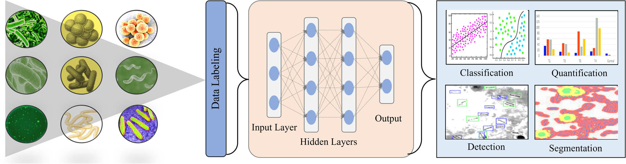 A deep dive into AI integration and advanced nanobiosensor technologies for enhanced bacterial ...