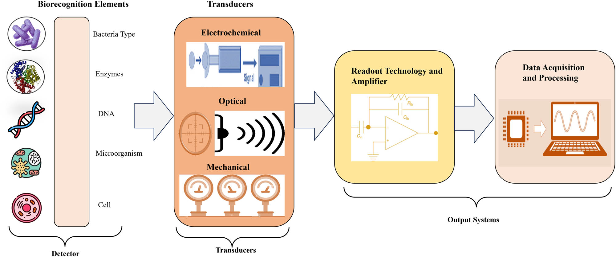 A deep dive into AI integration and advanced nanobiosensor technologies for enhanced bacterial ...