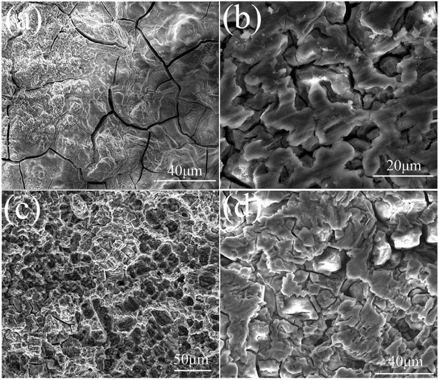 Microstructural, mechanical, and corrosion characteristic...