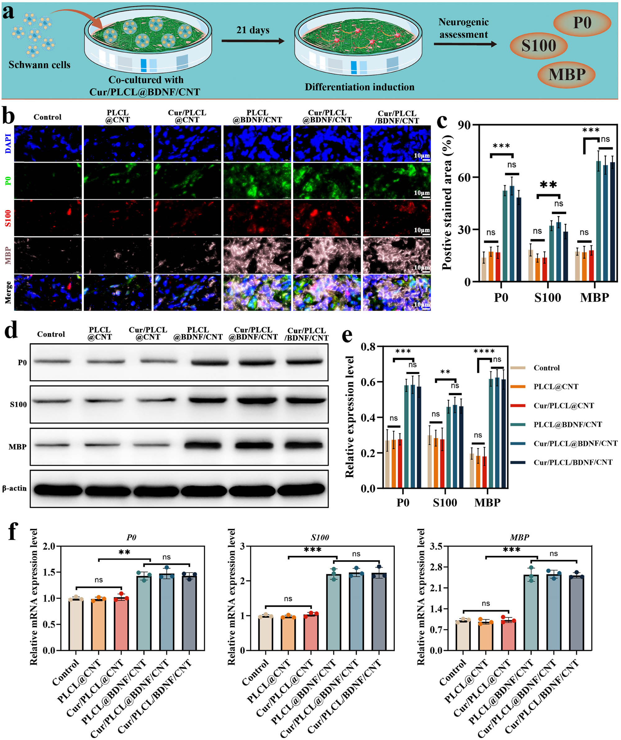 Shell-core-structured electrospinning film with sequential anti ...