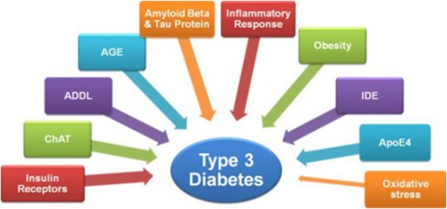 Metabolic mysteries of the mind: Investigating type 3 dia...
