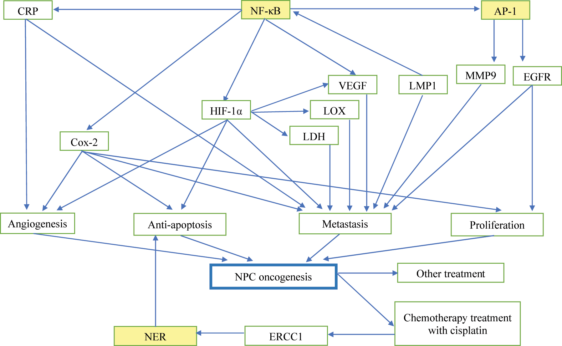 Multigenic prognosis assessment model for nasopharyngeal carcinoma via ...