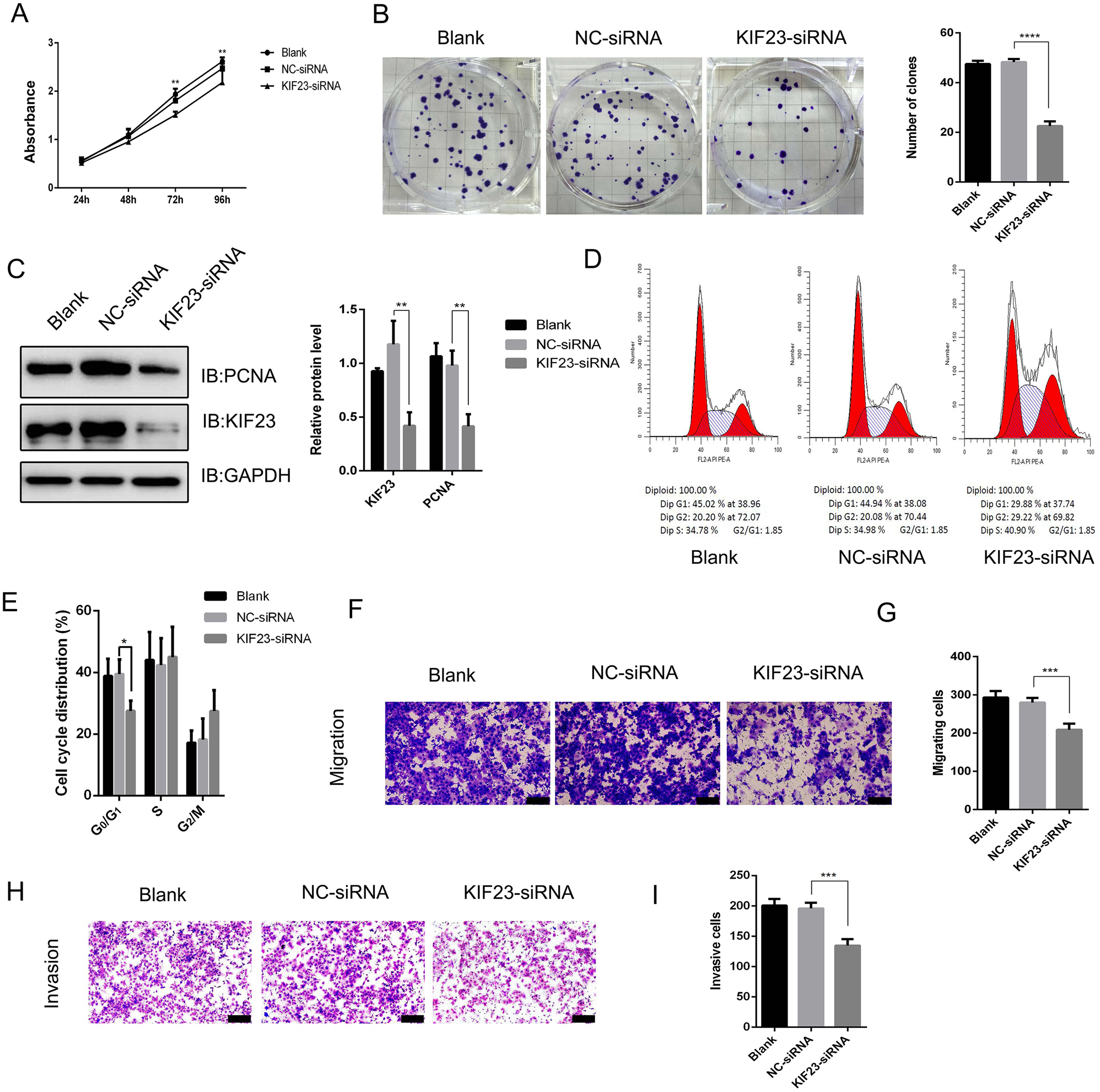 SPOP attenuates the proliferation, invasion, and migration of ...