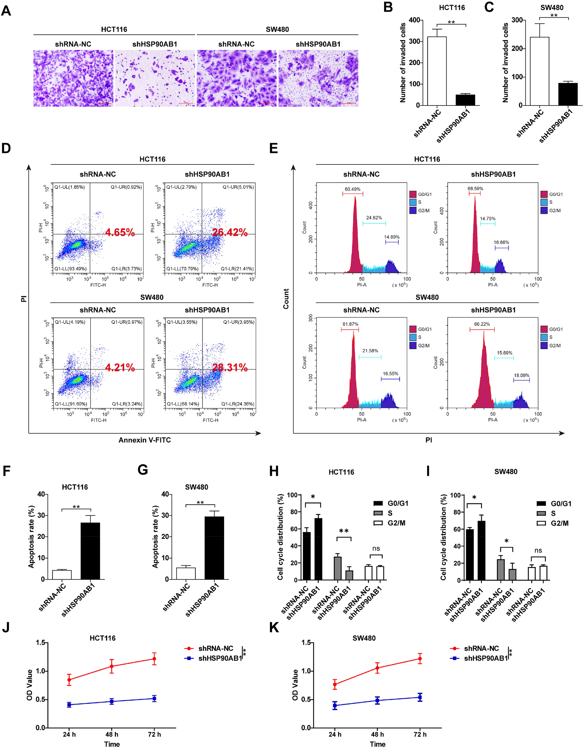 The HSP90AB1-mediated upregulation of IDO1 can promote the progression ...