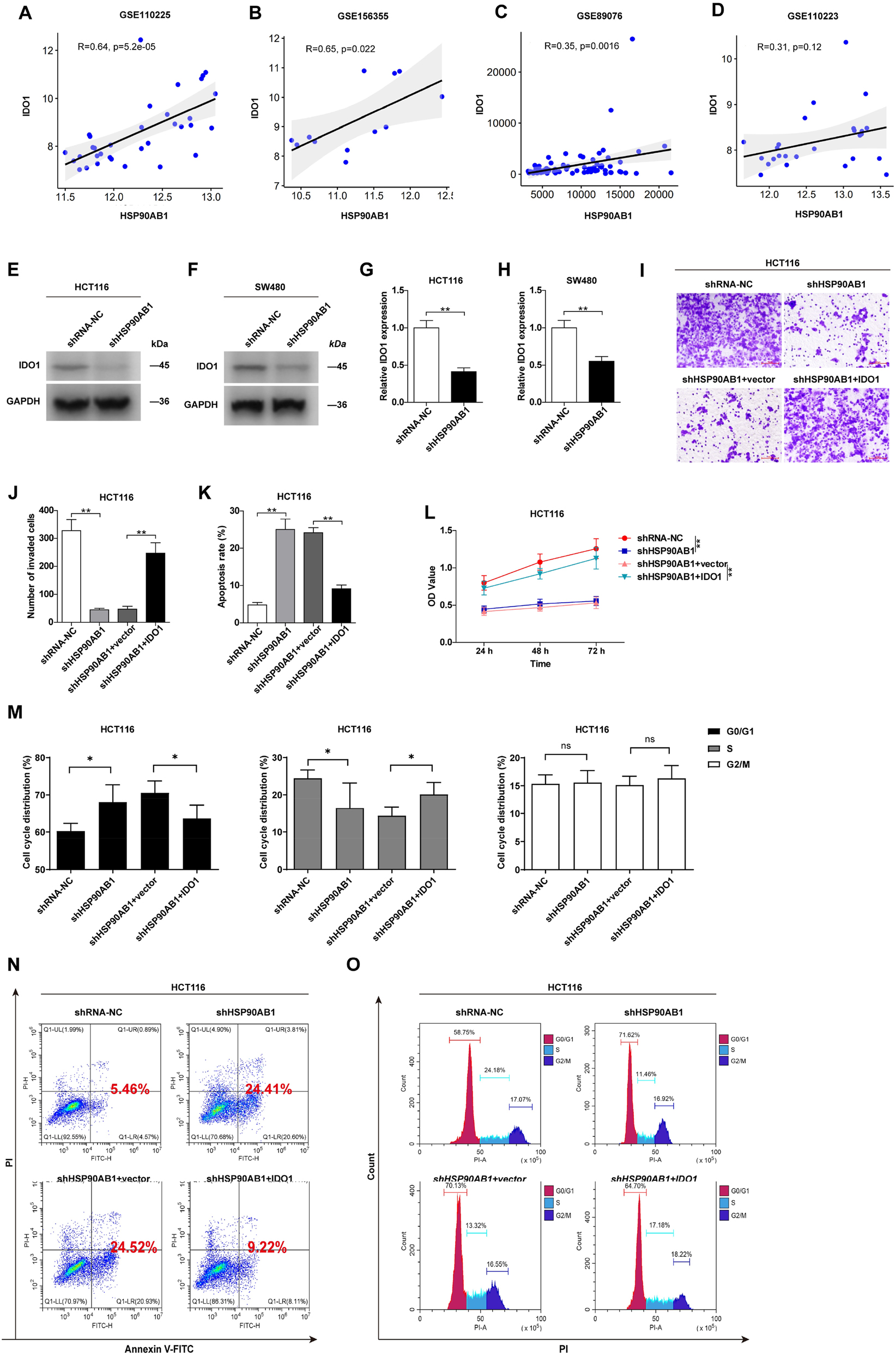 The HSP90AB1-mediated upregulation of IDO1 can promote the progression ...