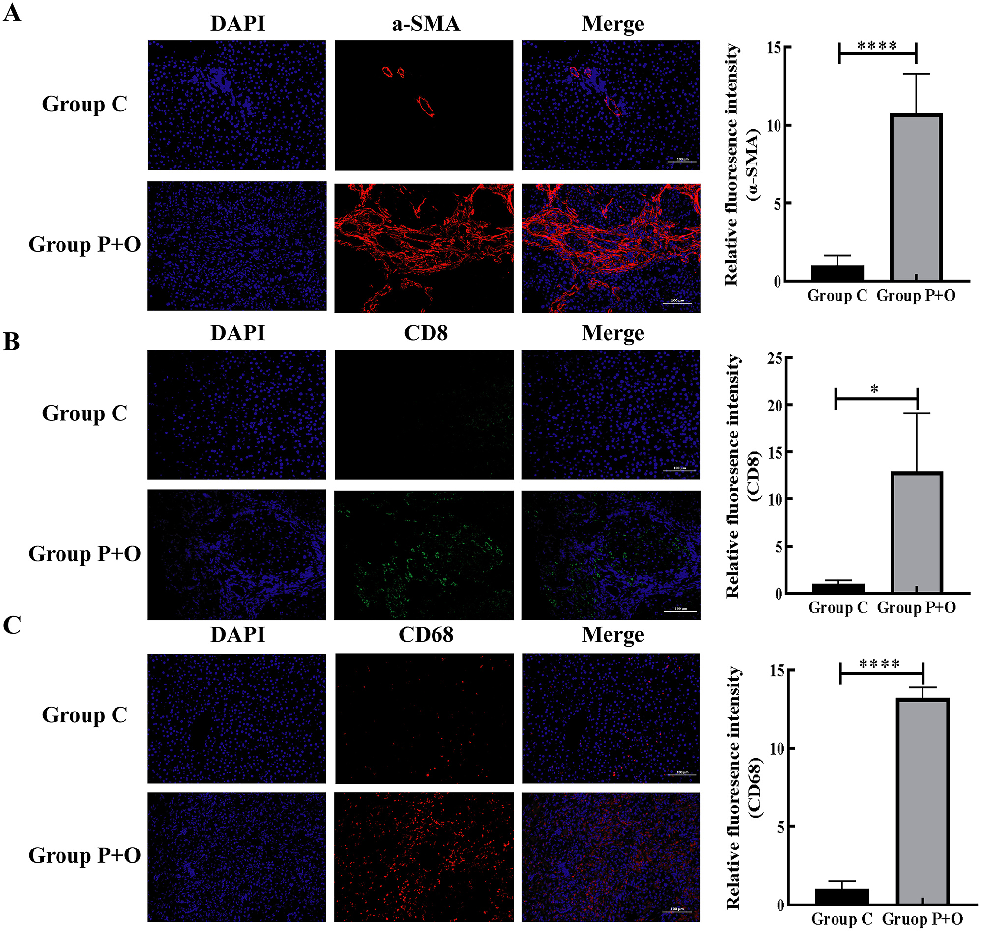 Establishment and refinement of a DEN-induced hepatocellular carcinoma ...