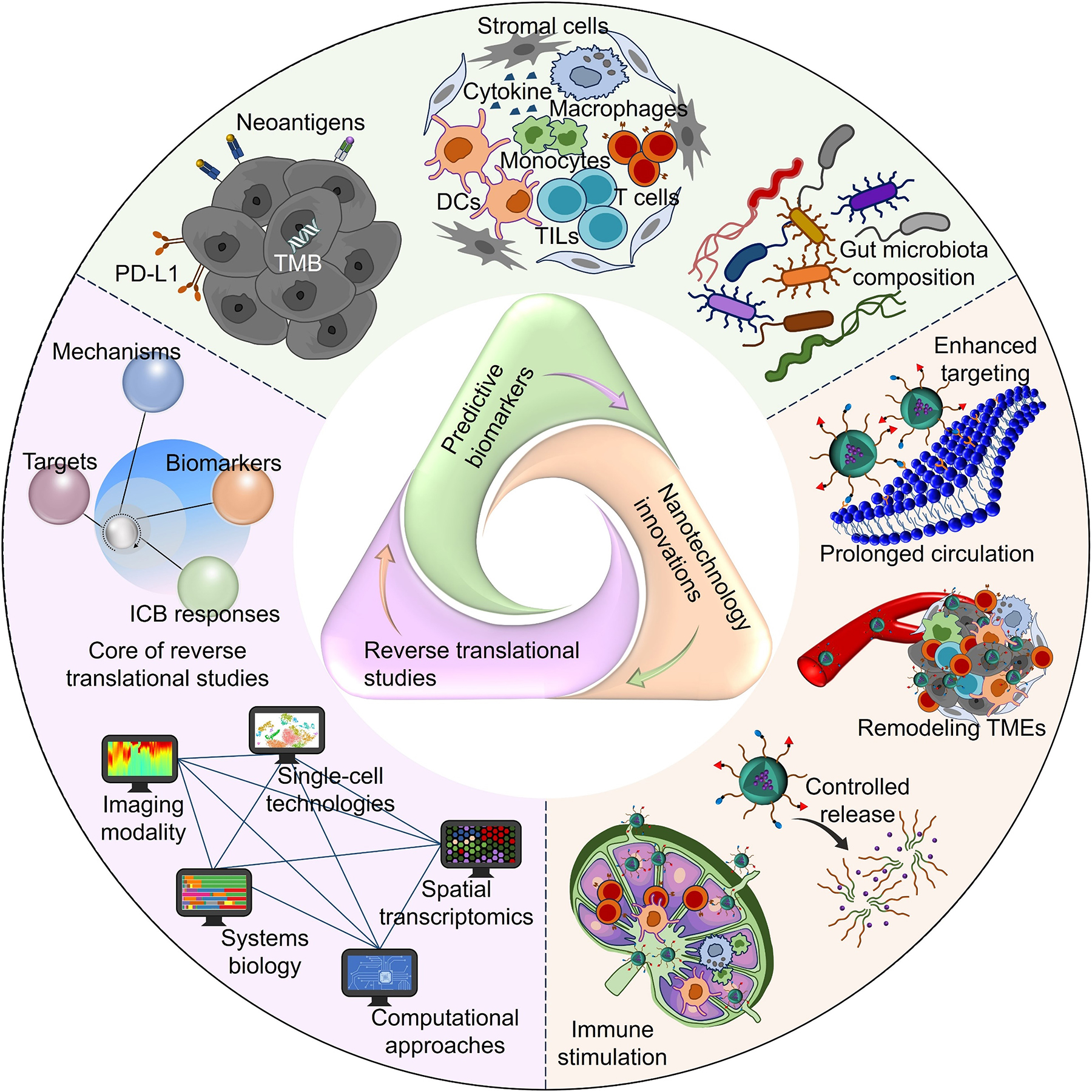 How to optimize the immune checkpoint blockade therapy fo...