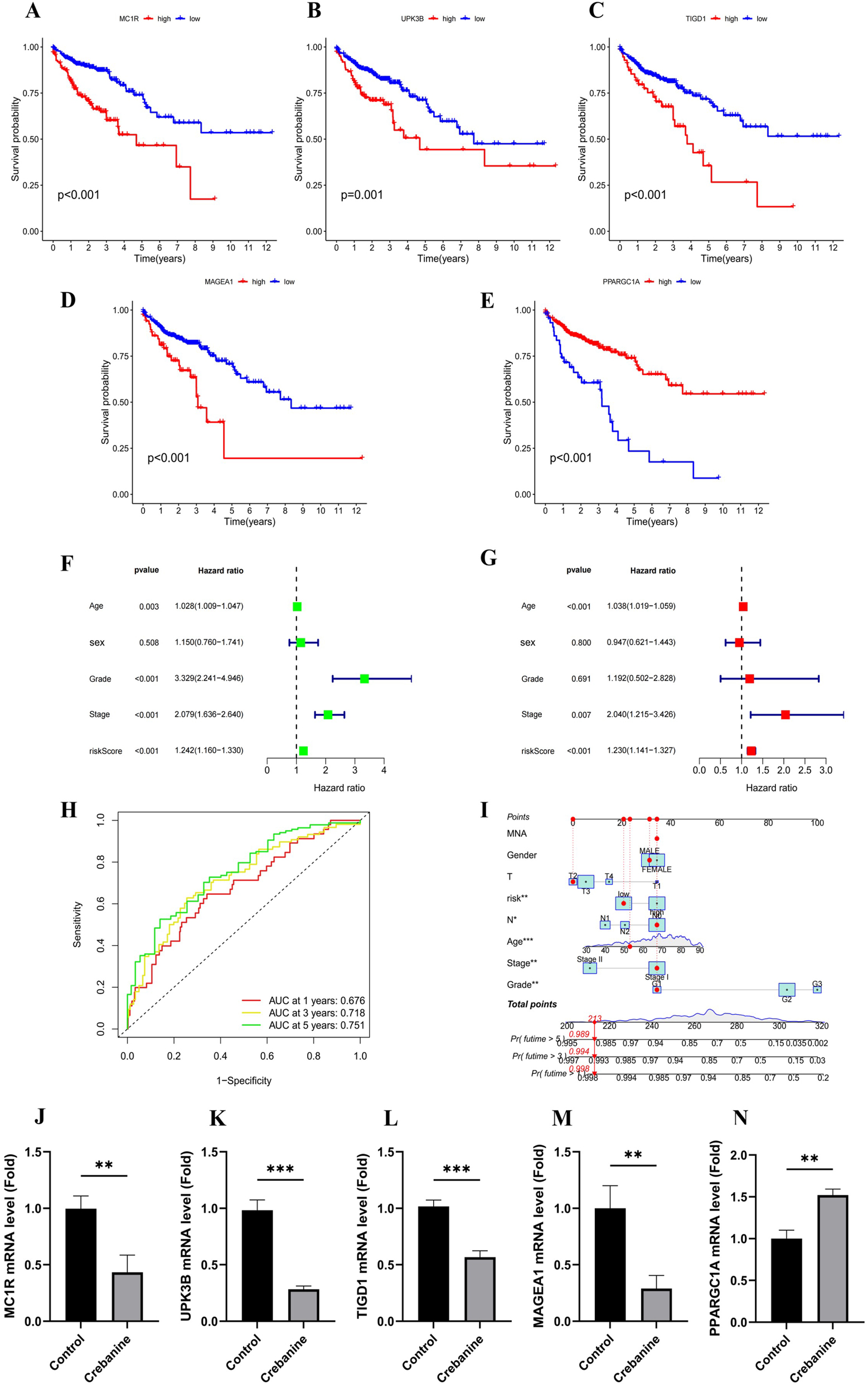 High-throughput sequencing reveals crebanine inhibits colorectal cancer ...