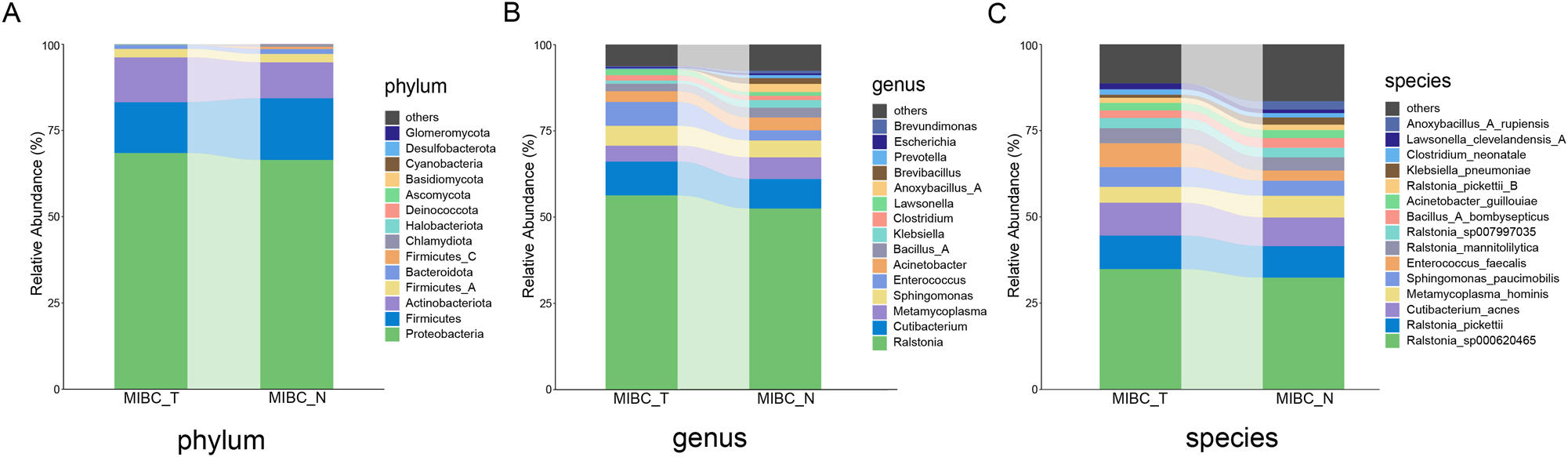 Exploring the bladder tissue microbiome in patients with muscle ...
