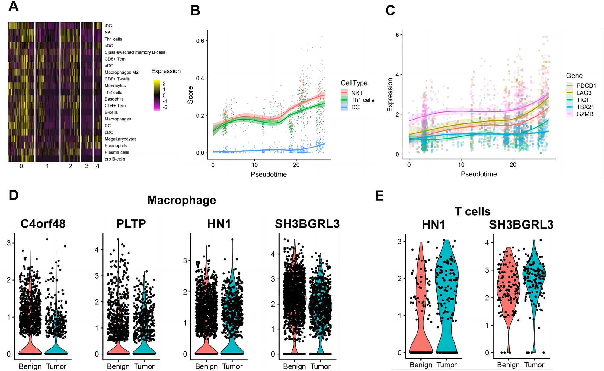 Trajectory mapping of renal clear cell carcinoma transcriptomes ...