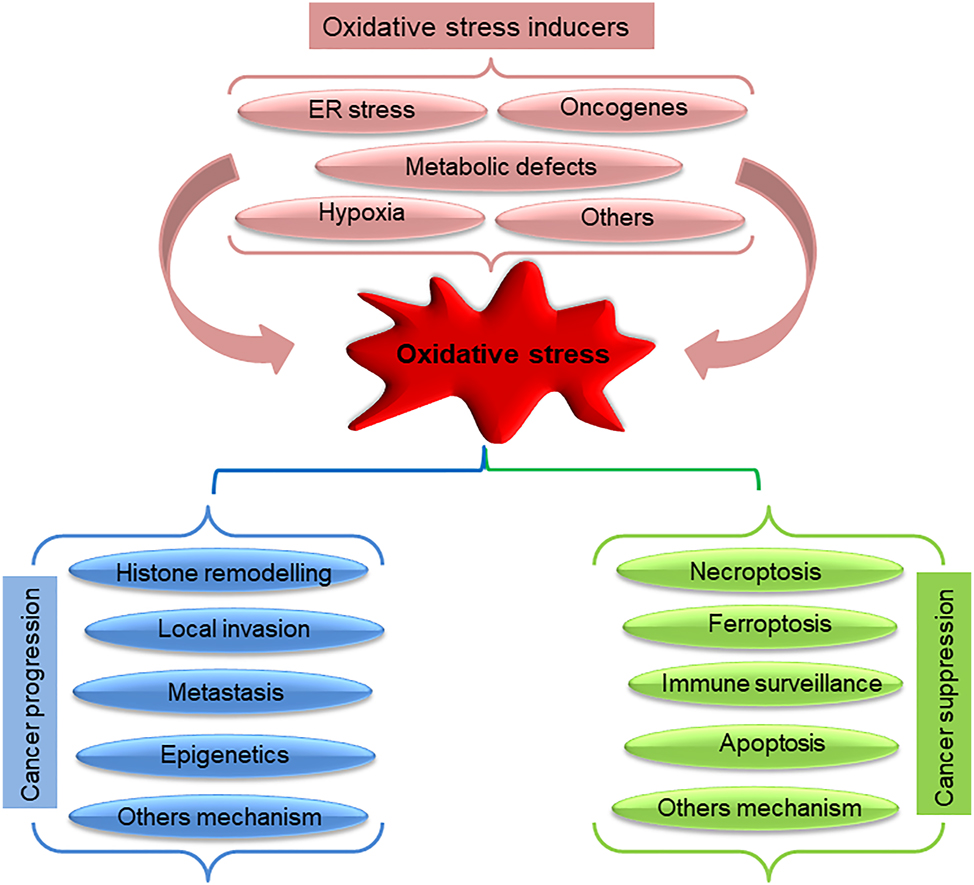 Oxidative stress-mediated epigenetic remodeling, metastatic progression ...