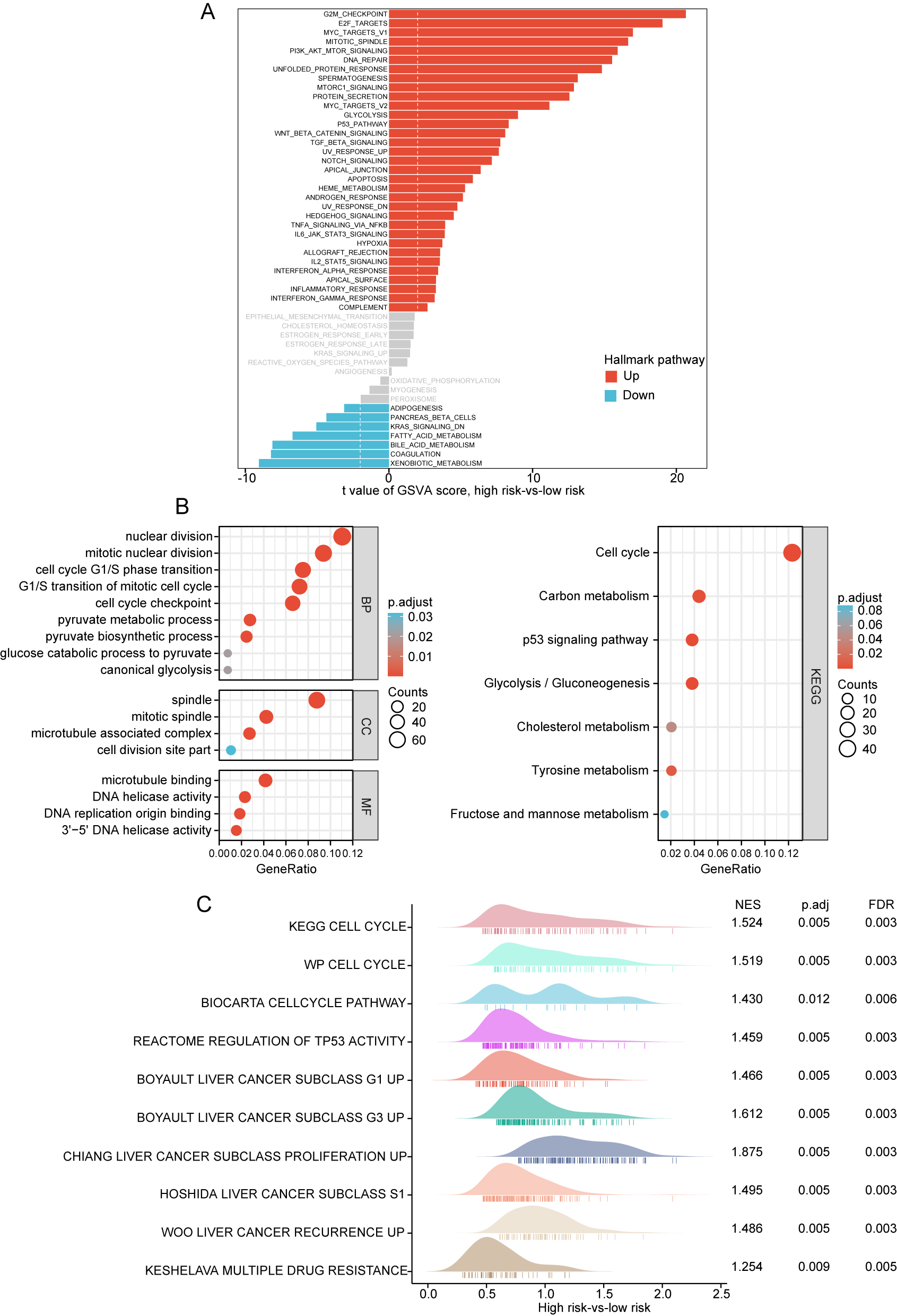 Integrating bulk-RNA and single-cell analysis reveals heterogeneous ...