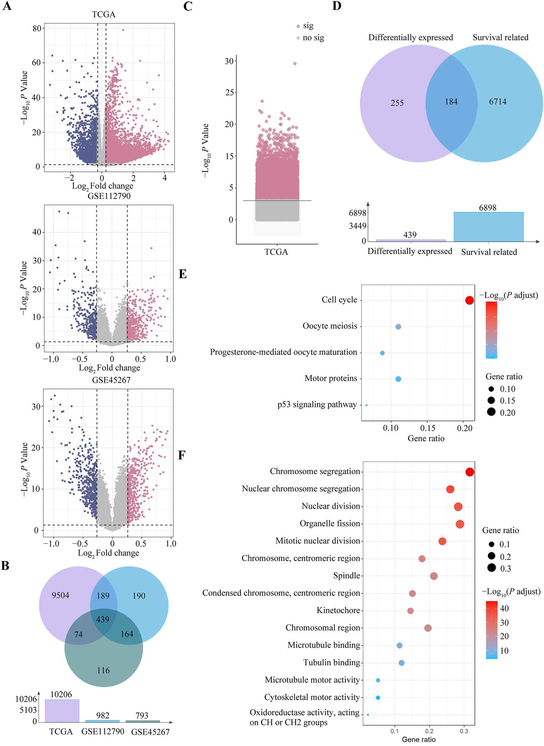 Exploring the mechanism of genistein in treating hepatocellular ...