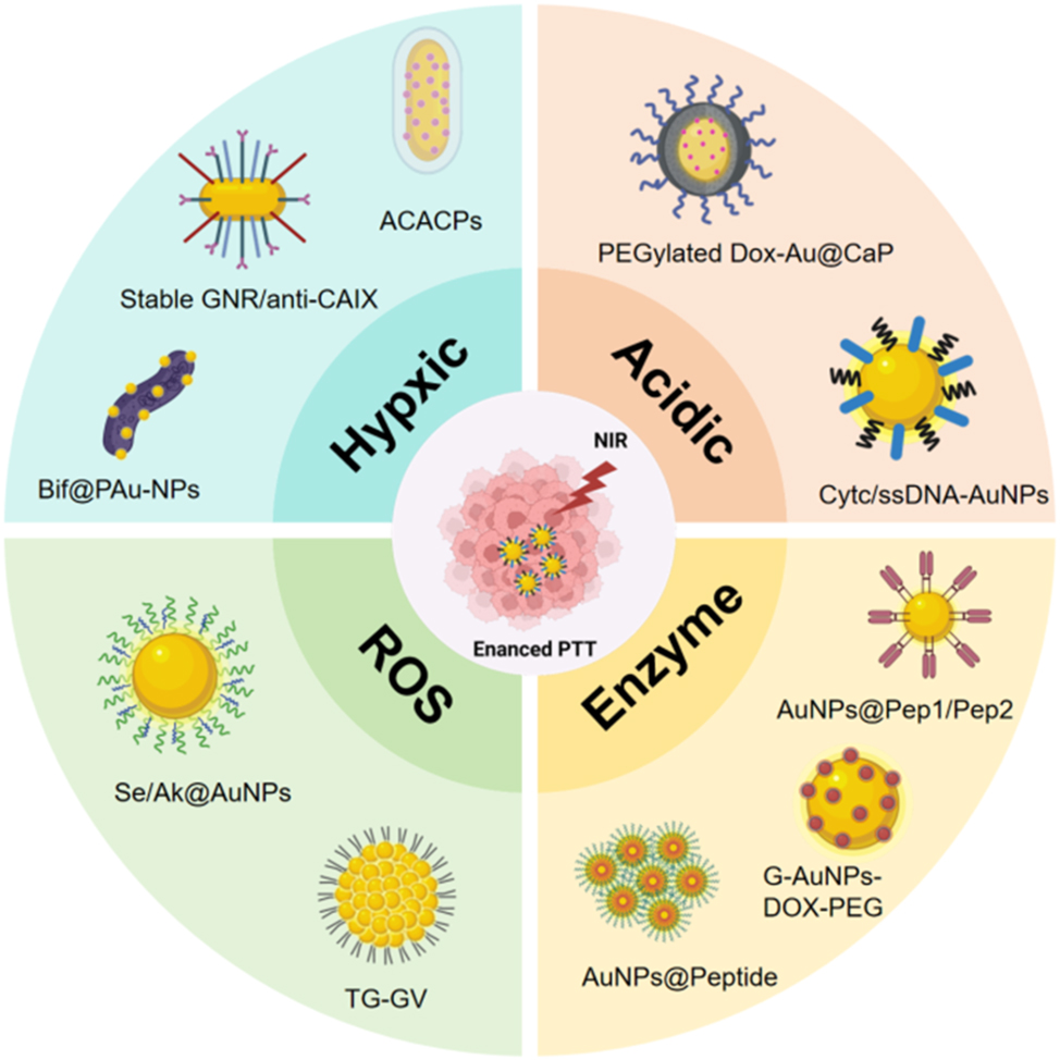 Targeting tumor microenvironments with gold nanoparticles for enhanced ...