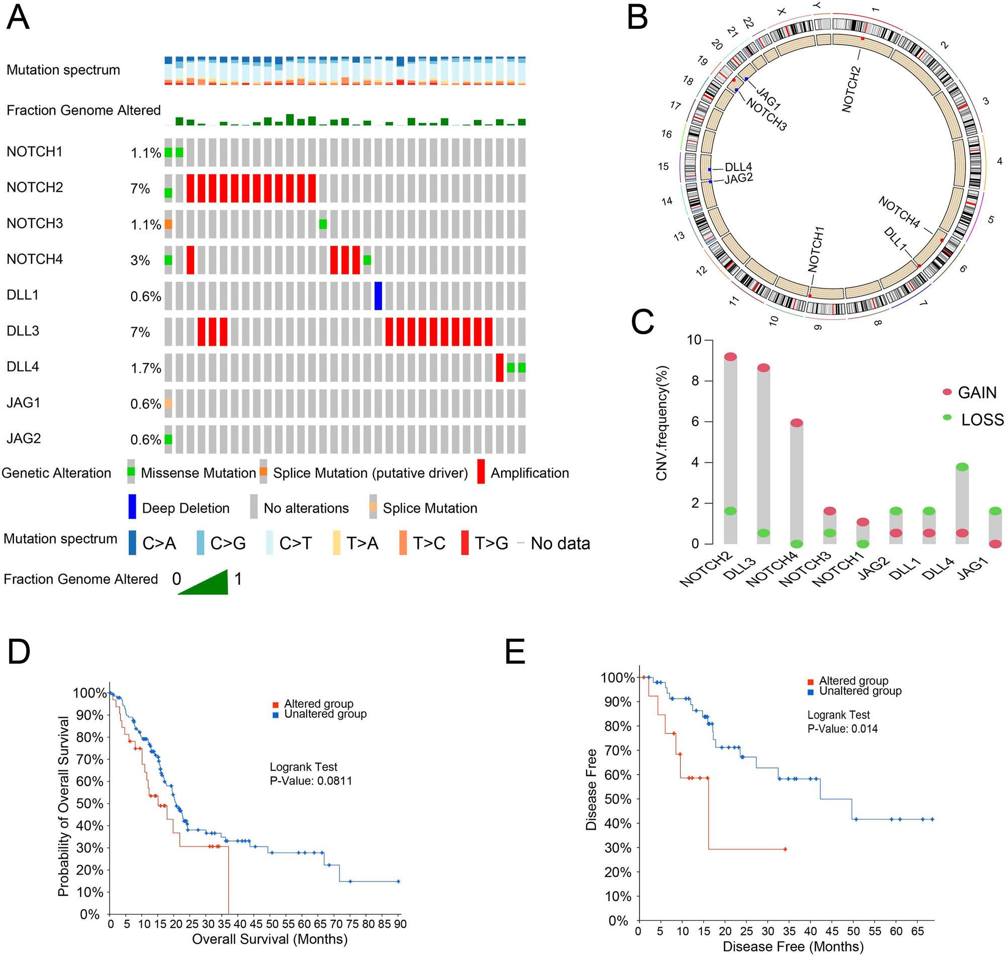Comprehensive analysis of NOTCH pathway with tumor environment in ...