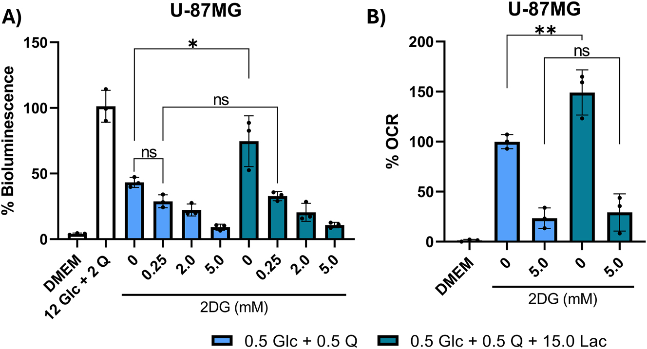 Lactate does not replace glucose for maintaining the viability of mouse ...