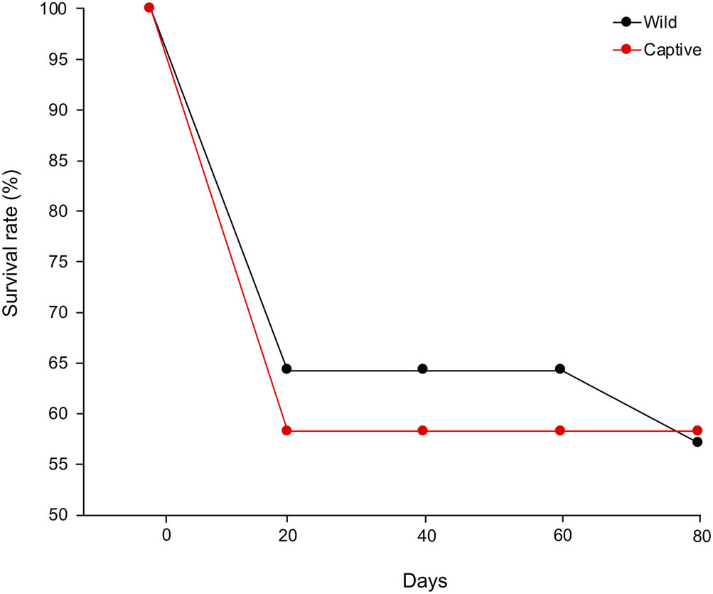 Effects of domestication and temperature on the growth and survival of ...