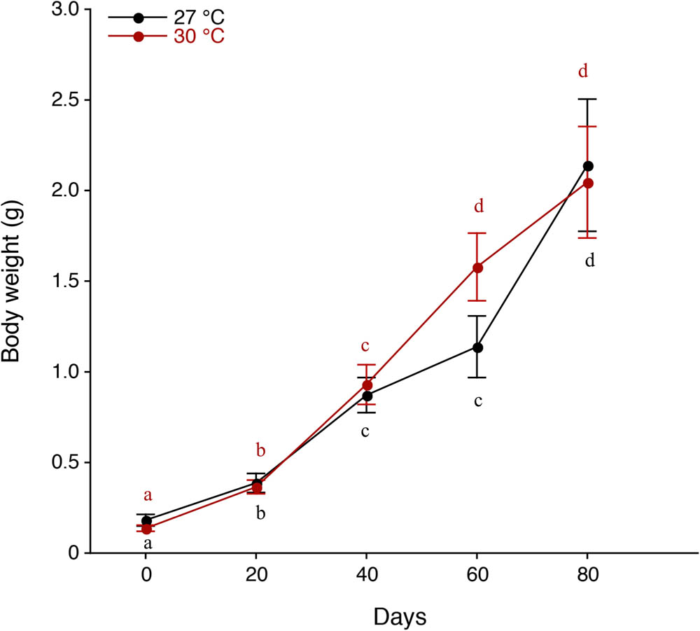 Effects of domestication and temperature on the growth and survival of ...