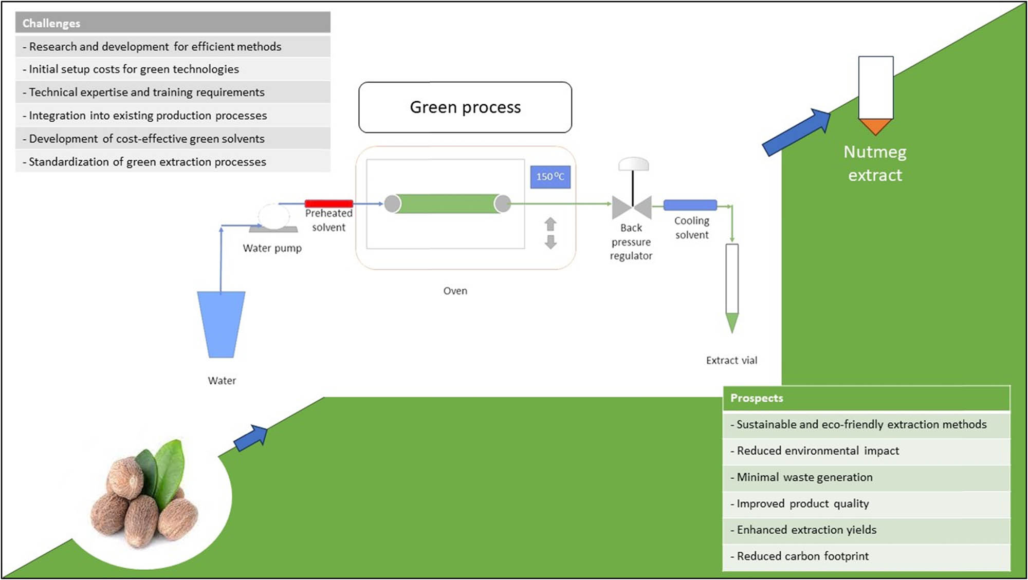 Green extraction of nutmeg (Myristica fragrans) phytochem...