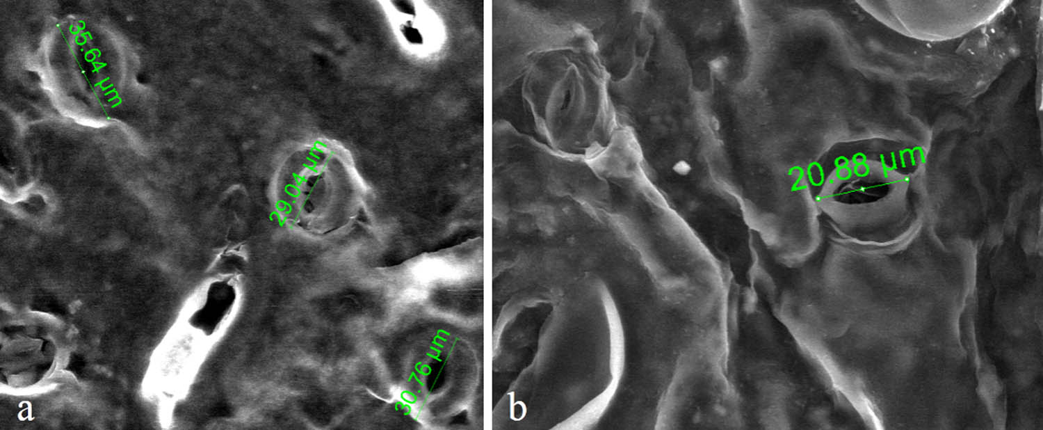 The synergistic application of sucrose and various LED li...