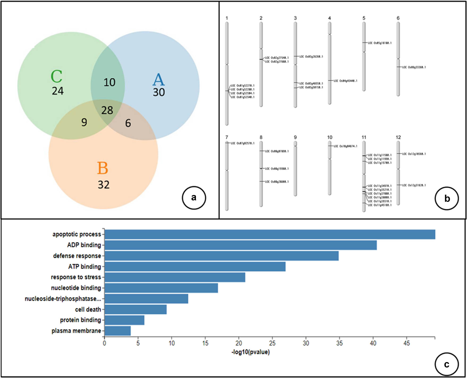 Deciphering salt-responsive NB-ARC genes in rice transcriptomic data: A ...