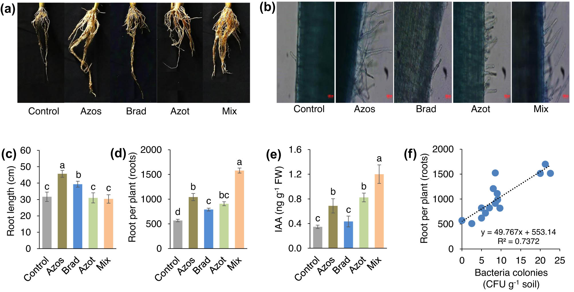 Harnessing synthetic microbial communities with nitrogen-...