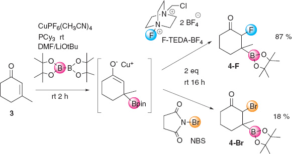 Organocatalytic functionalisation through boron chemistry
