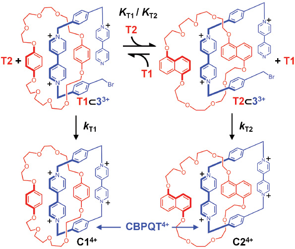 Template-directed nonenzymatic oligonucleotide synthesis: lessons from ...