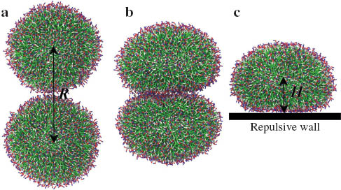 Effective interaction between small unilamellar vesicles as probed by ...