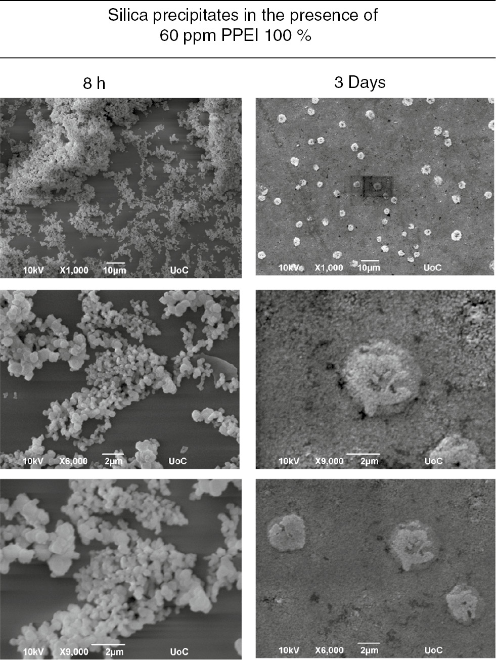 Modified macromolecules in the prevention of silica scale