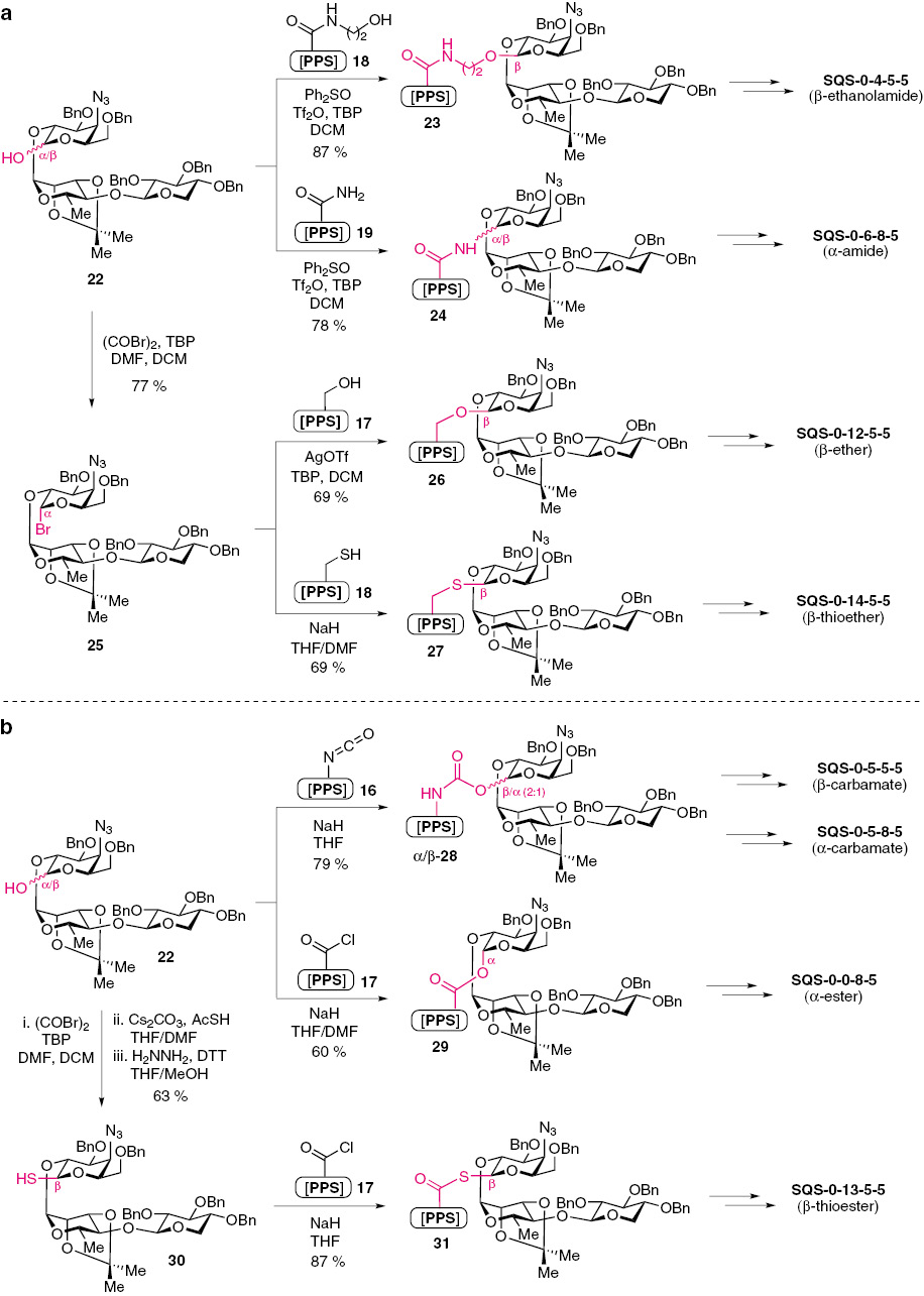Design, synthesis and evaluation of optimized saponin variants derived from the vaccine adjuvant ...
