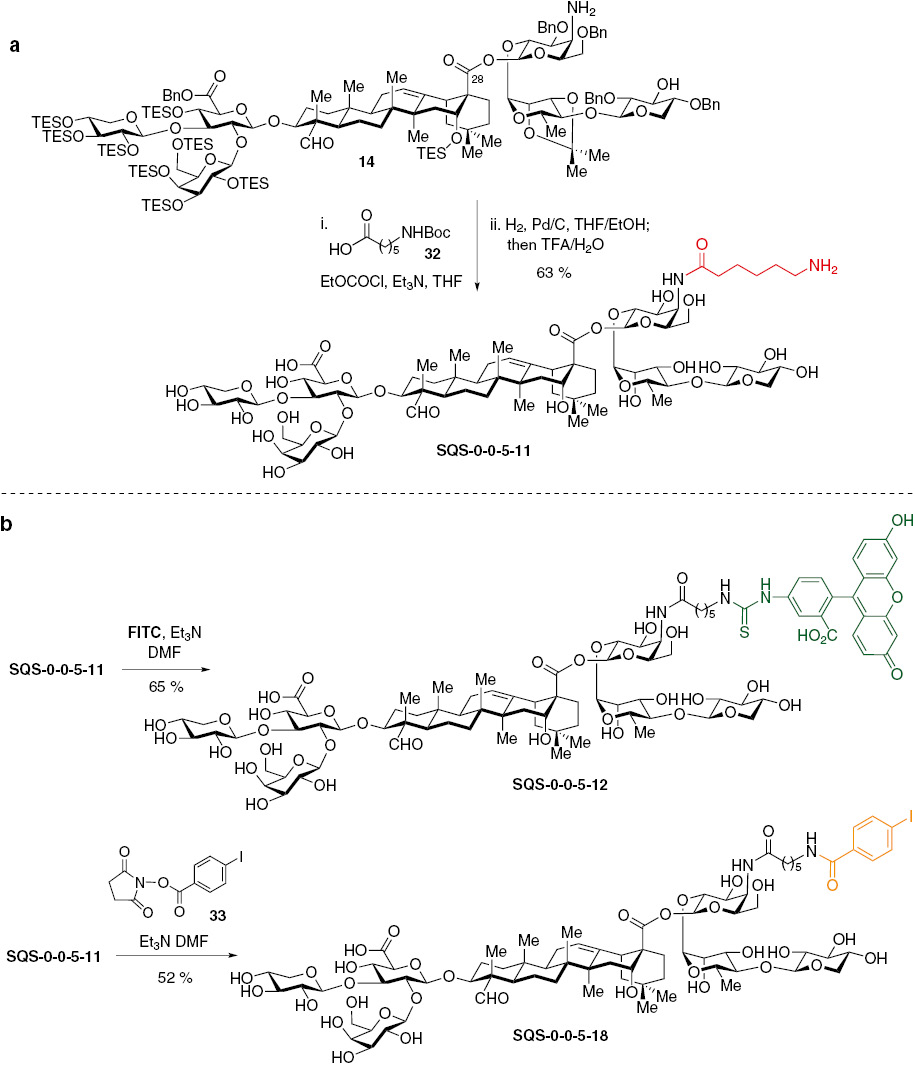 Design, synthesis and evaluation of optimized saponin variants derived from the vaccine adjuvant ...