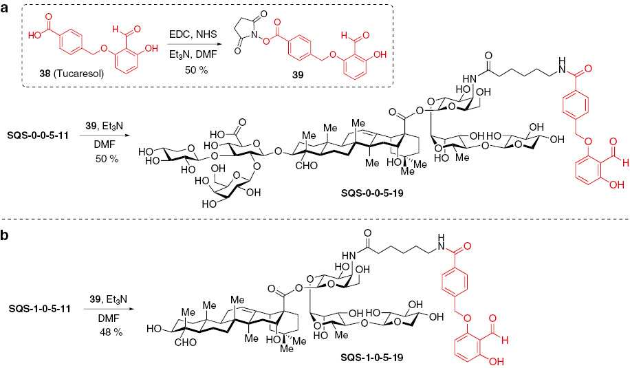 Design, synthesis and evaluation of optimized saponin variants derived from the vaccine adjuvant ...
