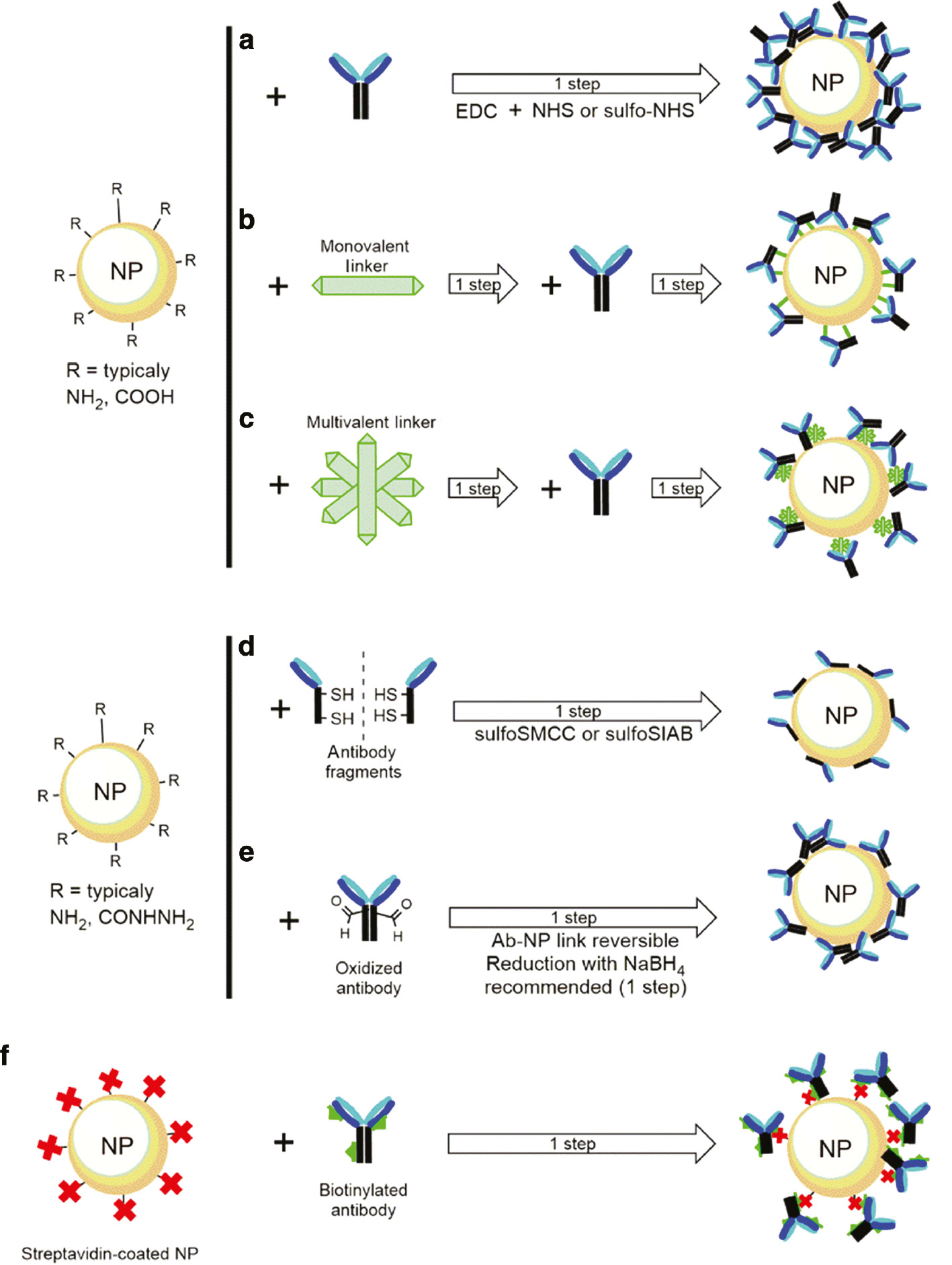 Engineered nanomaterials and human health: Part 1. Preparation, functionalization and ...