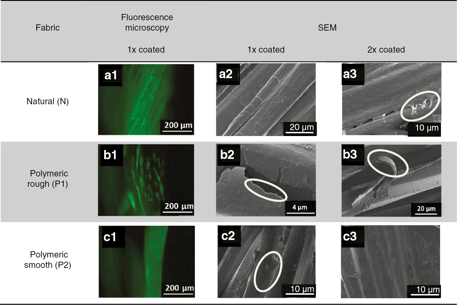 Spider silk foam coating of fabric