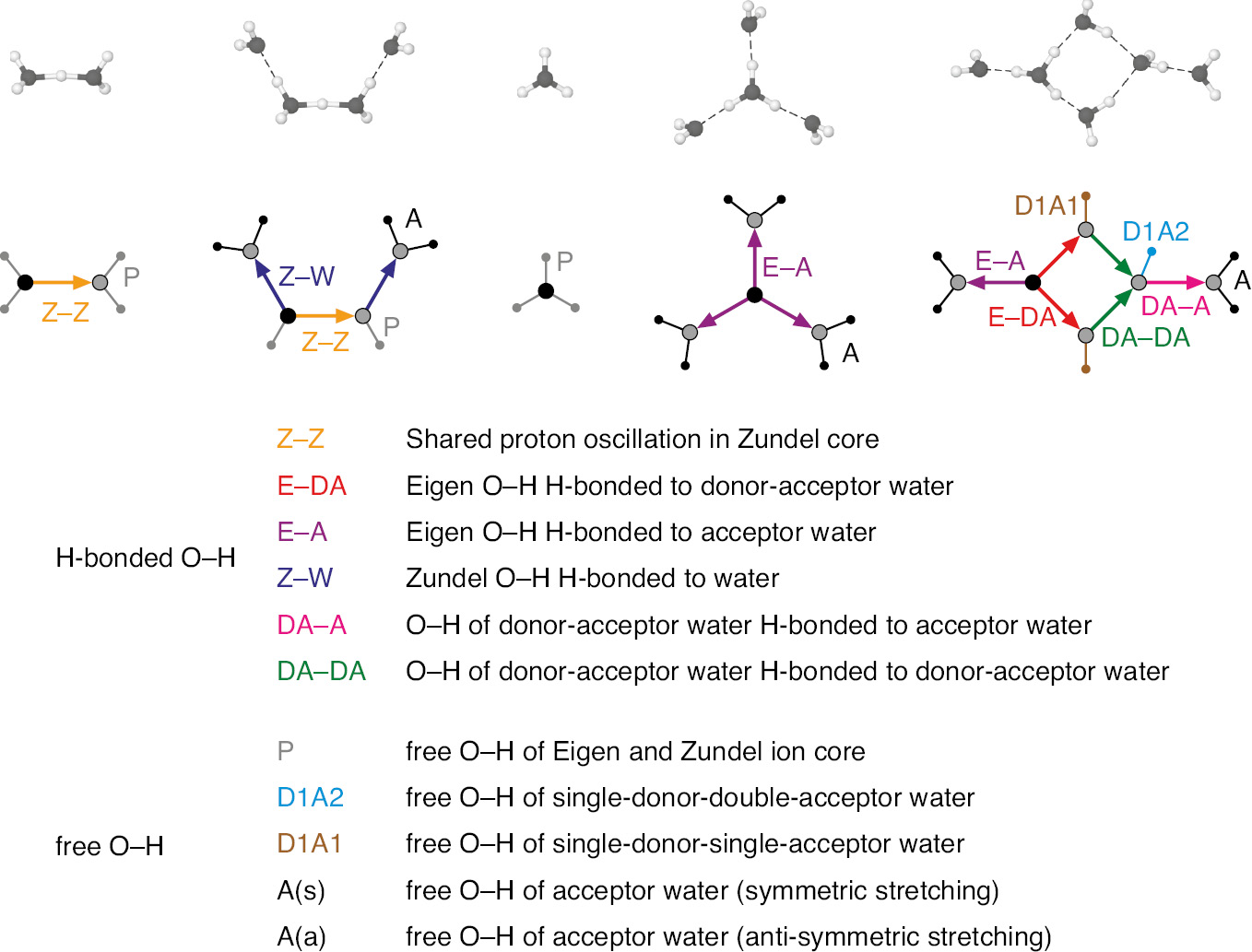 Hydrogen-bond pattern to characterize water network
