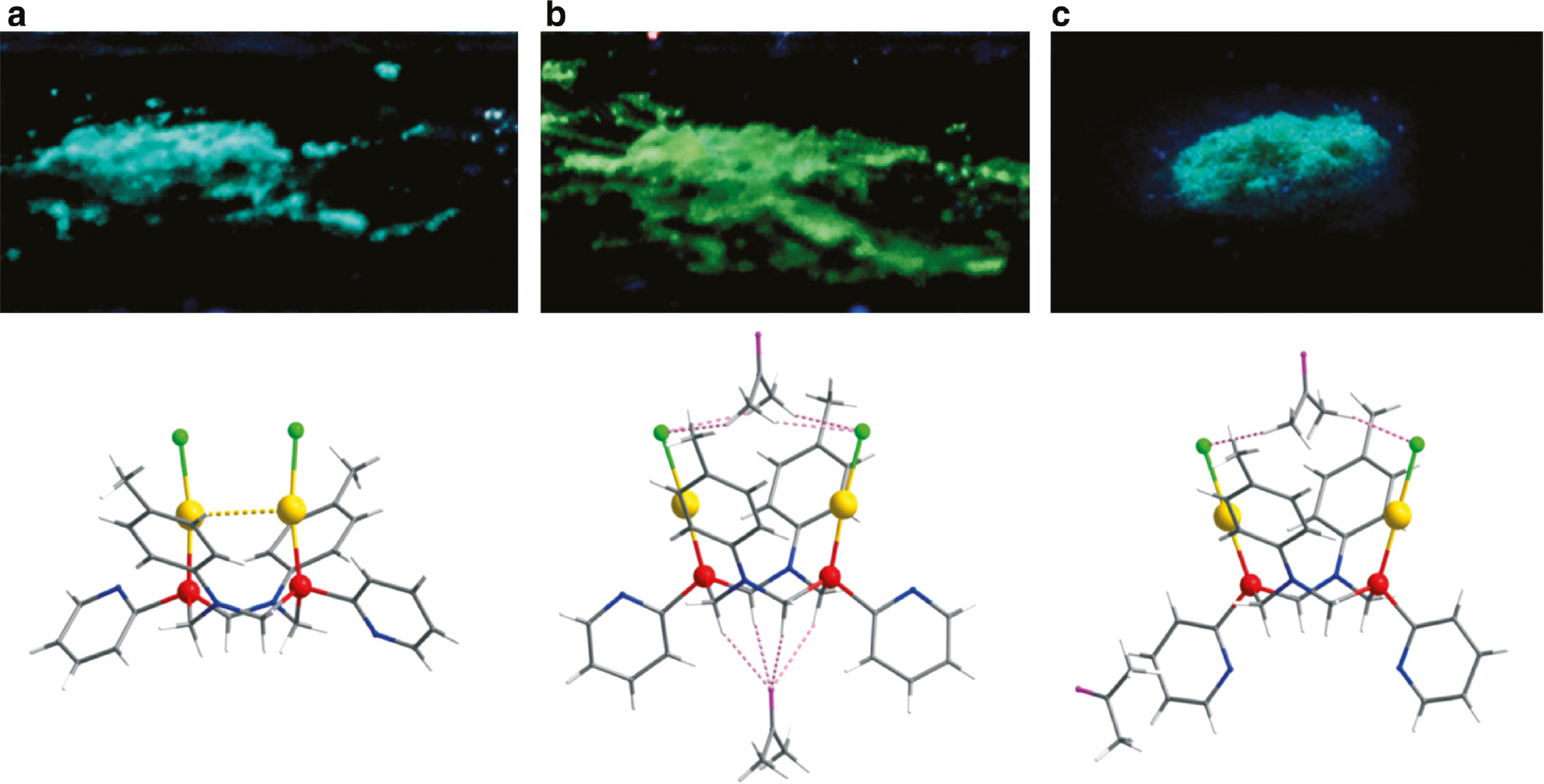 Luminescent complexes on a scaffold of P2N2-ligands: design of ...
