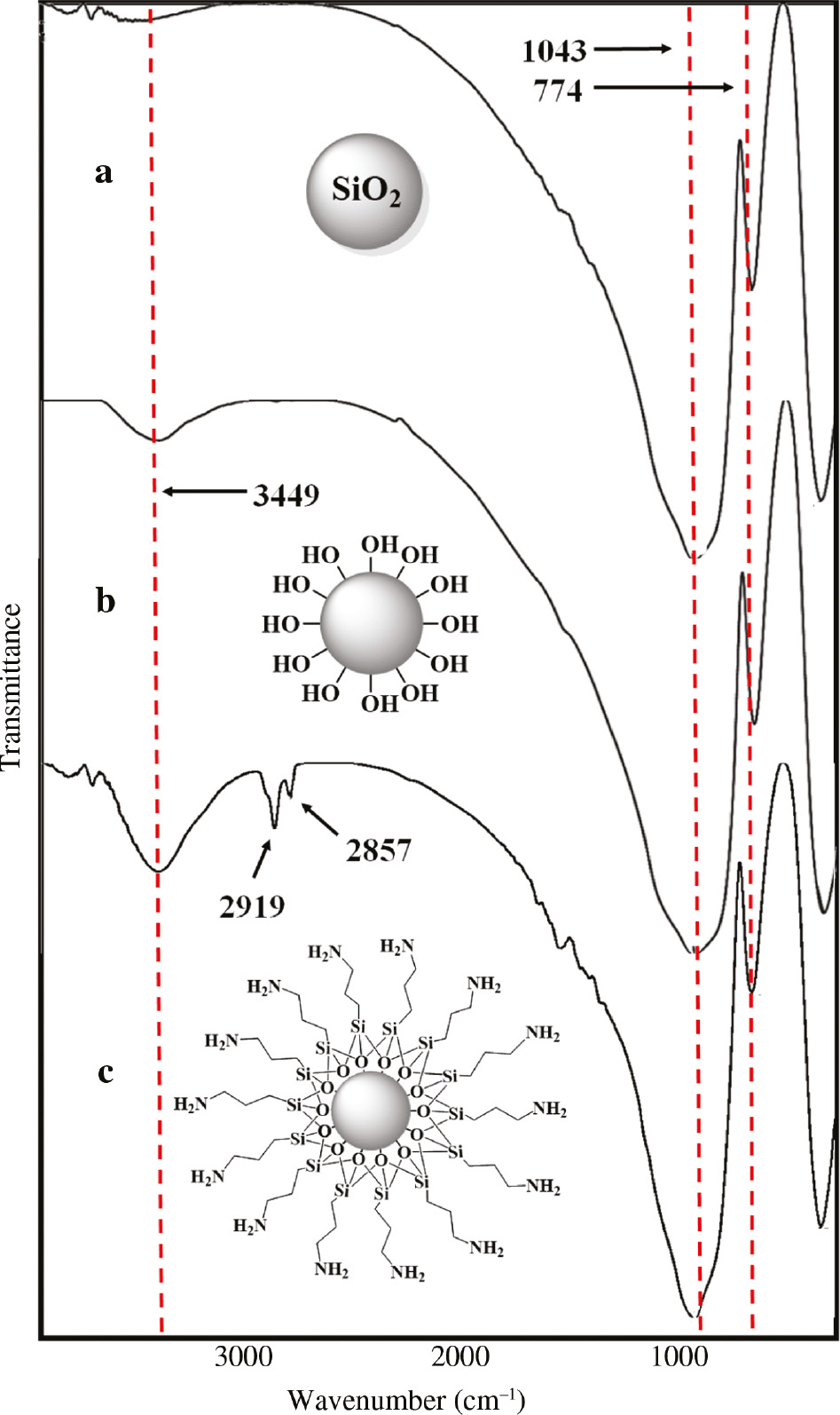 Competitive pseudo-ELISA based on molecularly imprinted nanoparticles ...