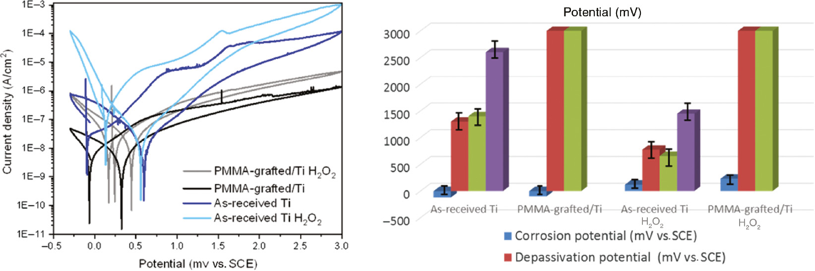 Stability of PMMA-grafted/Ti hybrid biomaterial interface in corrosive ...