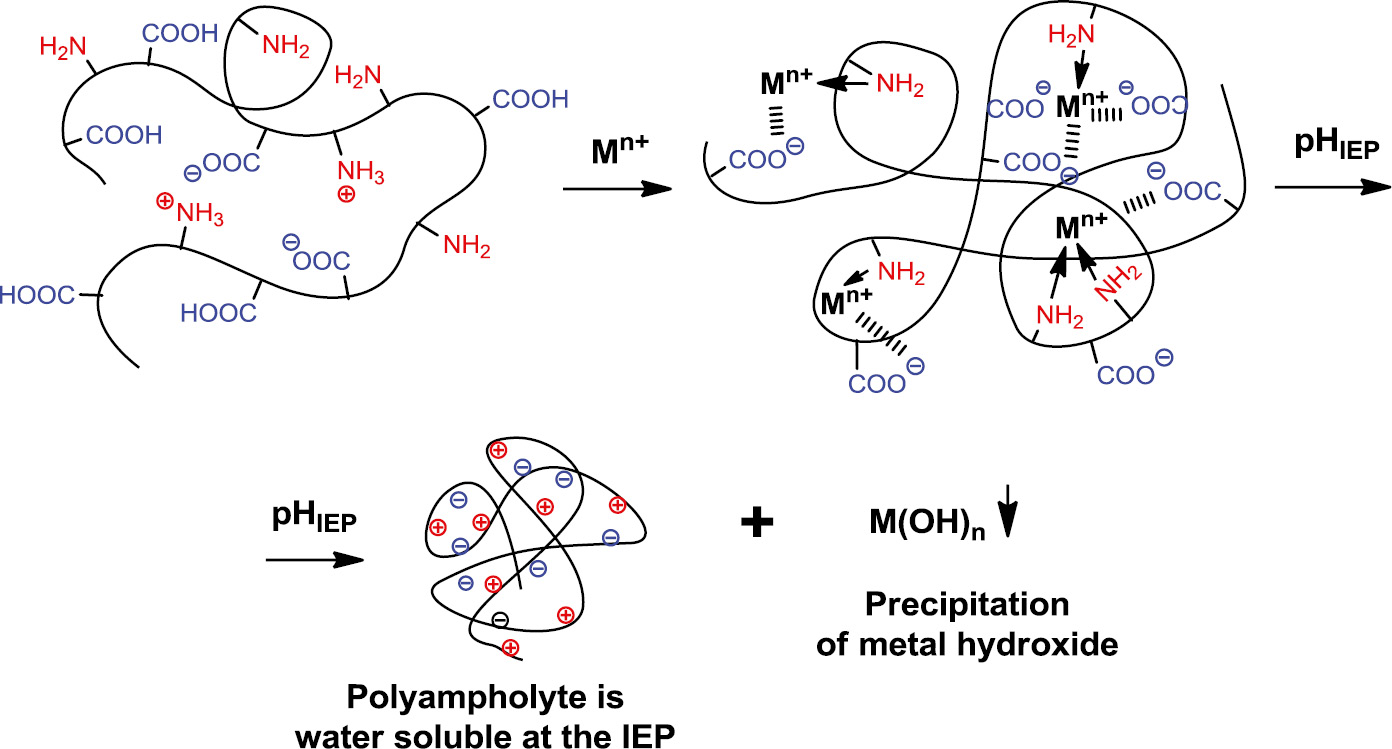 Macromolecular complexes of polyampholytes