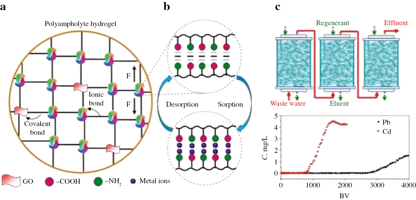 Macromolecular complexes of polyampholytes