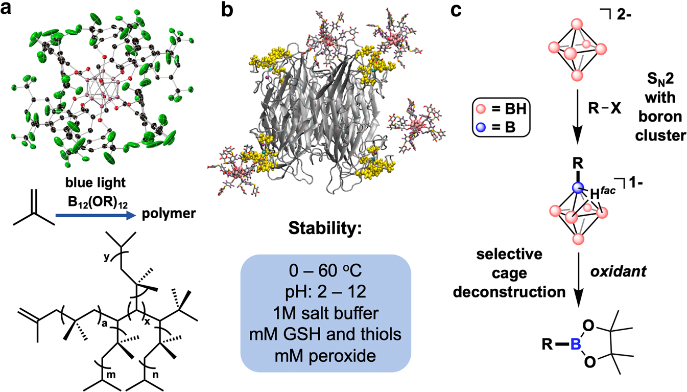 Narratives of undergraduate research, mentorship, and teaching at UCLA