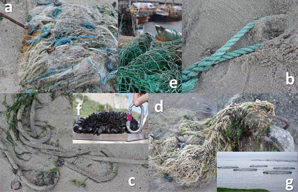 The ghost nets phenomena from the chemical perspective