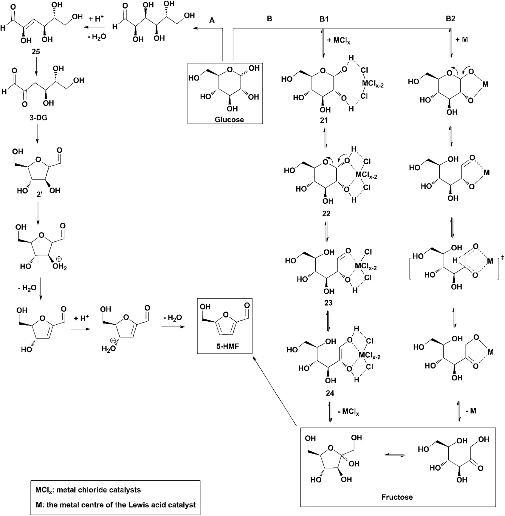 Mechanistic studies on the formation of 5-hydroxymethylfurfural from ...