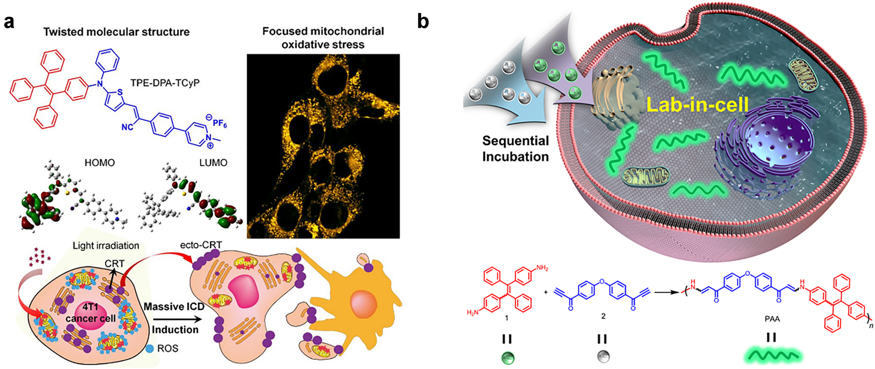 Aggregation-induced emission (AIE): emerging technology based on ...