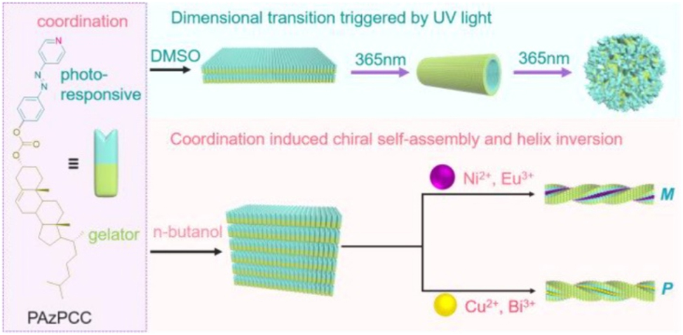 Metal ion-assisted supramolecular gelation