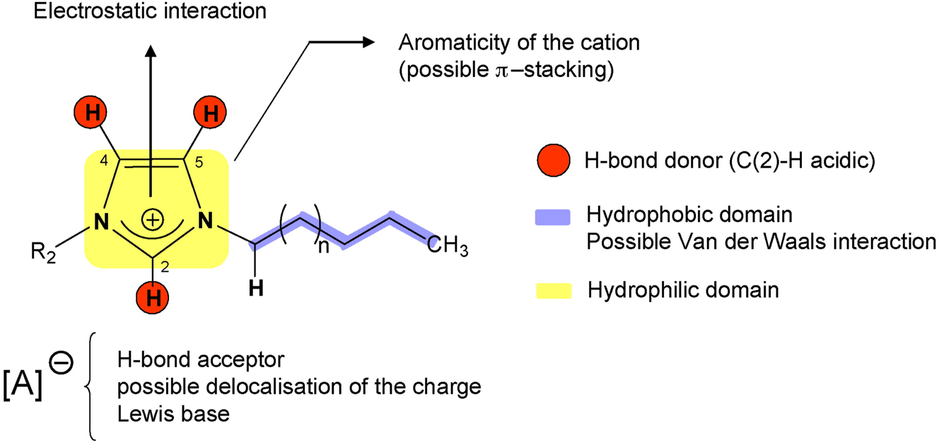 Ionic liquids as model systems for the study of the behaviour of ...