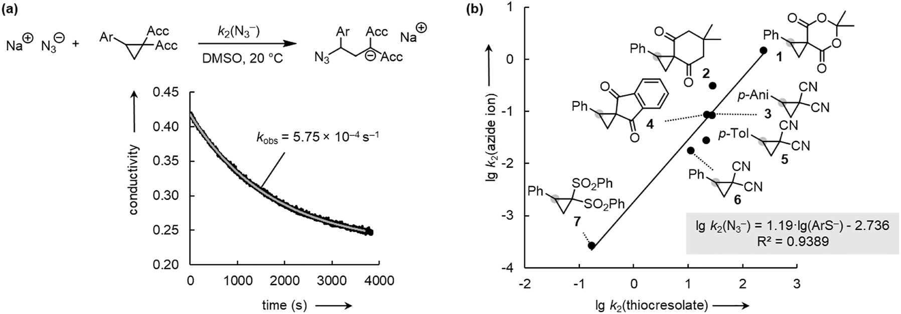 Reactivity of electrophilic cyclopropanes