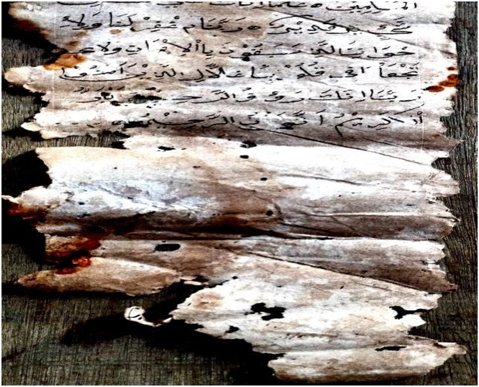 Preservation as a Shared Responsibility: Collaboration for the ...